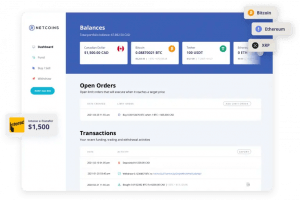 Netcoins Review: Cryptocurrency Exchange 2024